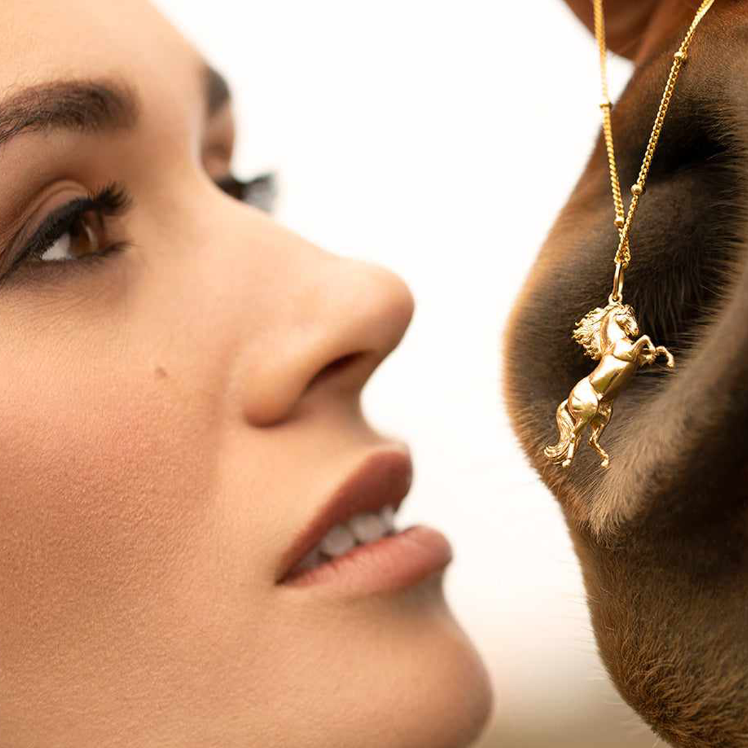 The Incredible Laura Thyer and Her Horse Florian The Incredible Laura ...